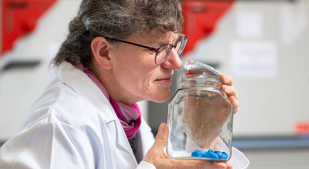 Emission testing: OMPG